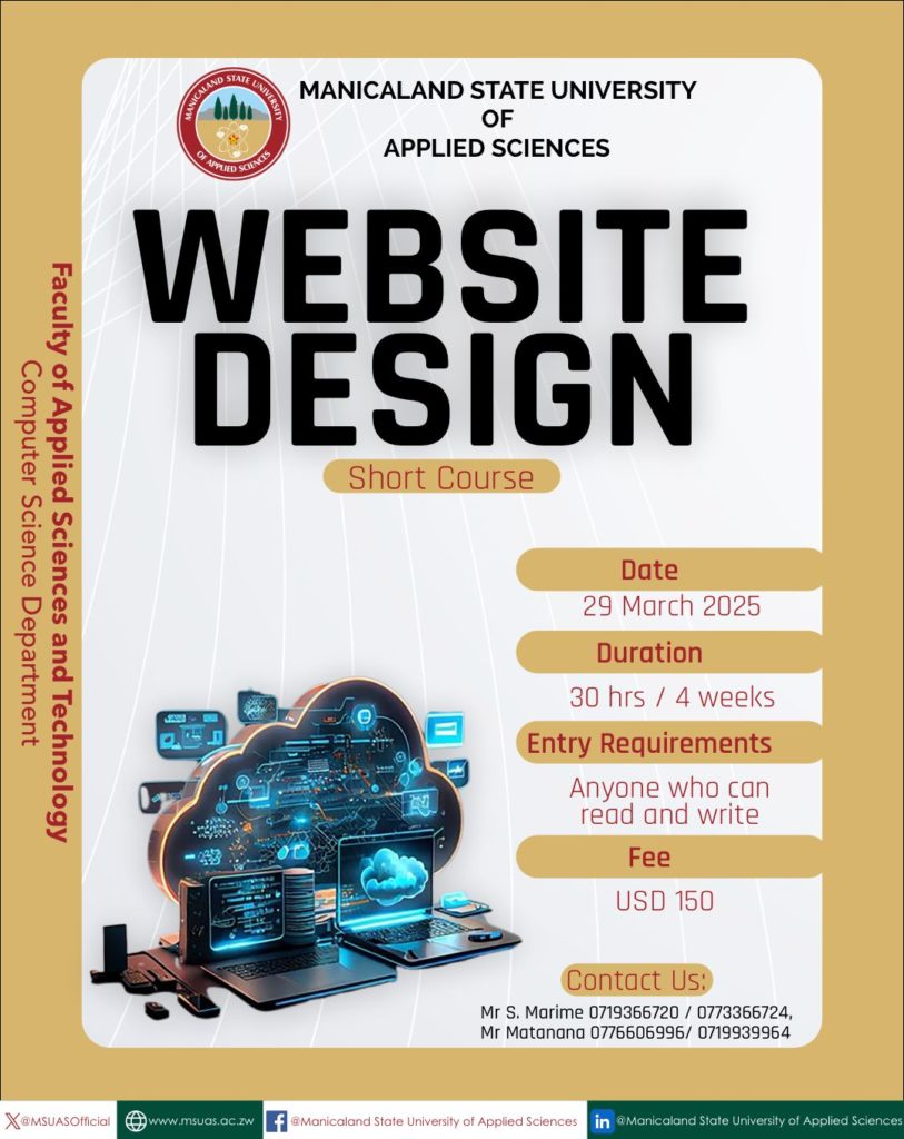 Web Design - MSUAS